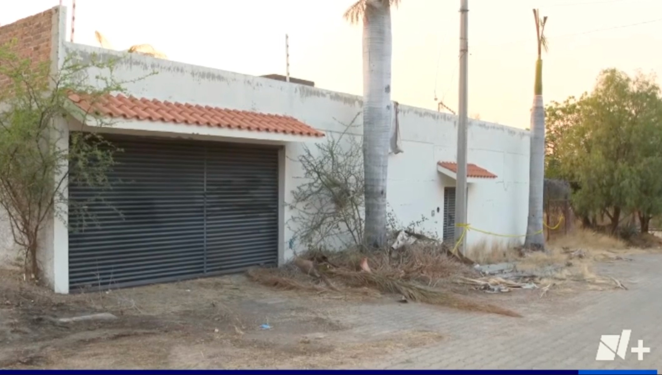 Suman 21 Cuerpos Encontrados en Fosa Clandestina de Abasolo | N+